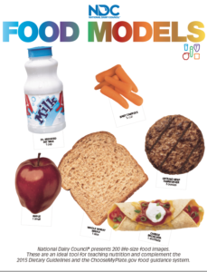 Food Models | Dairy Council Catalog